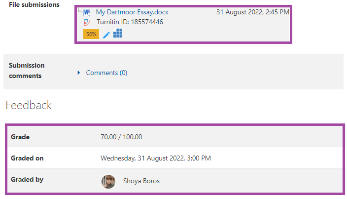 How do students access their feedback in Turnitin Feedback Studio ...